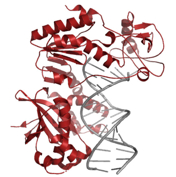 Produtos - BIOBREYER