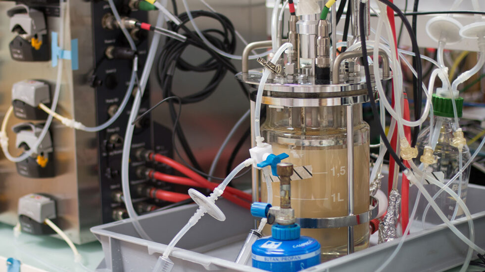 BIOBREYER - Pesquisa e desenvolvimento